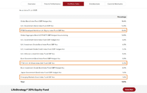 Vanguard LifeStrategy Review: Pros and Cons uncovered