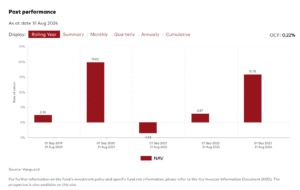 Vanguard LifeStrategy Review: Pros and Cons uncovered